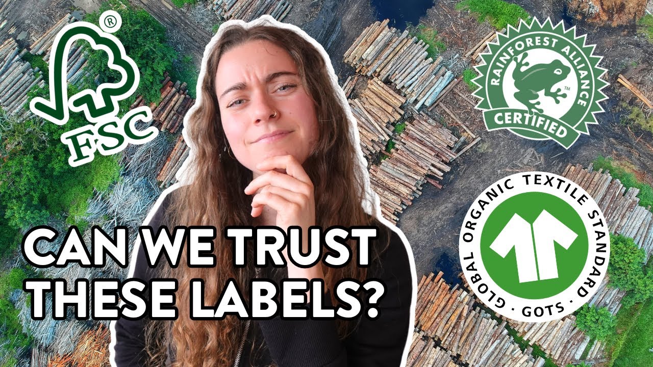 Are eco labels greenwashing? | Spotlight on Rainforest Alliance, GOTS & FSC certifications