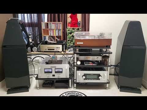 Sony tcd-d100