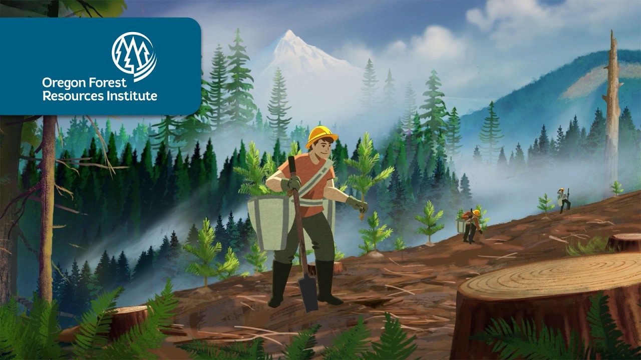 Forests for All (:15)