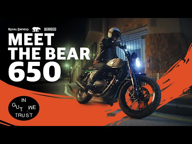 Bear 650 | LAMS Approved | Book A Test Ride