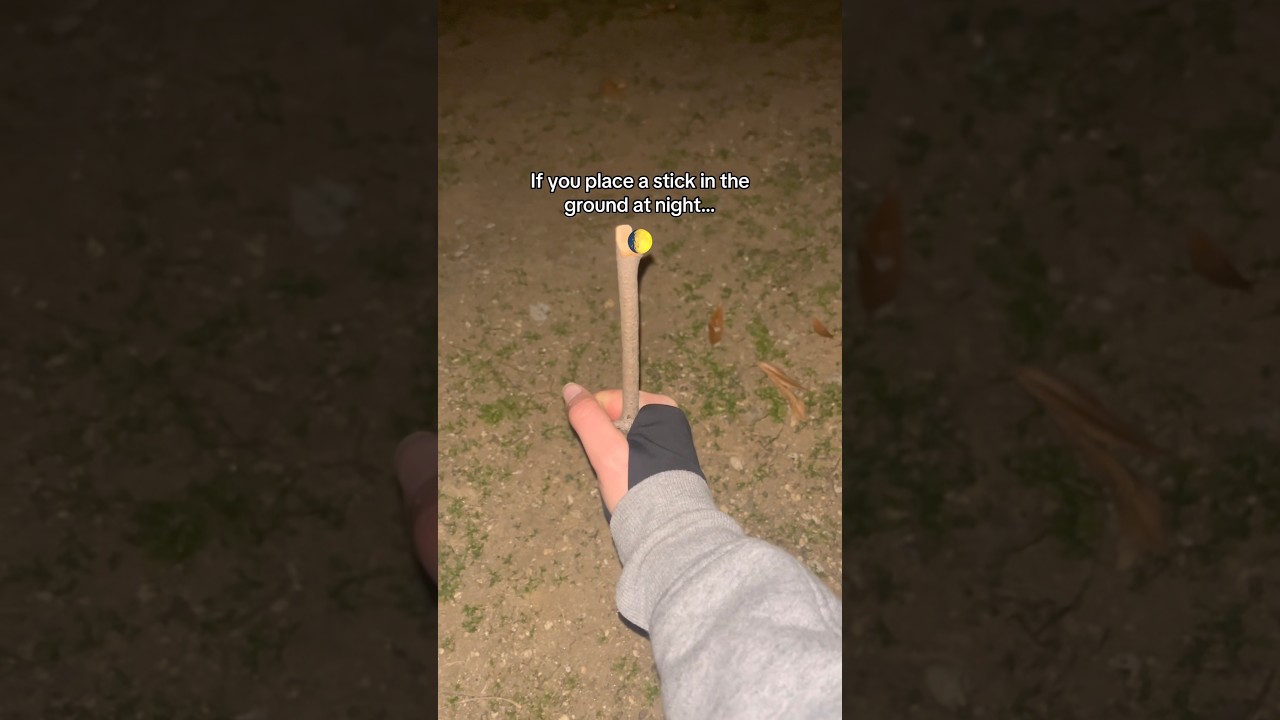 Shadow compass at night in the Northern Hemisphere 🌖 #compass #landnavigation #survival
