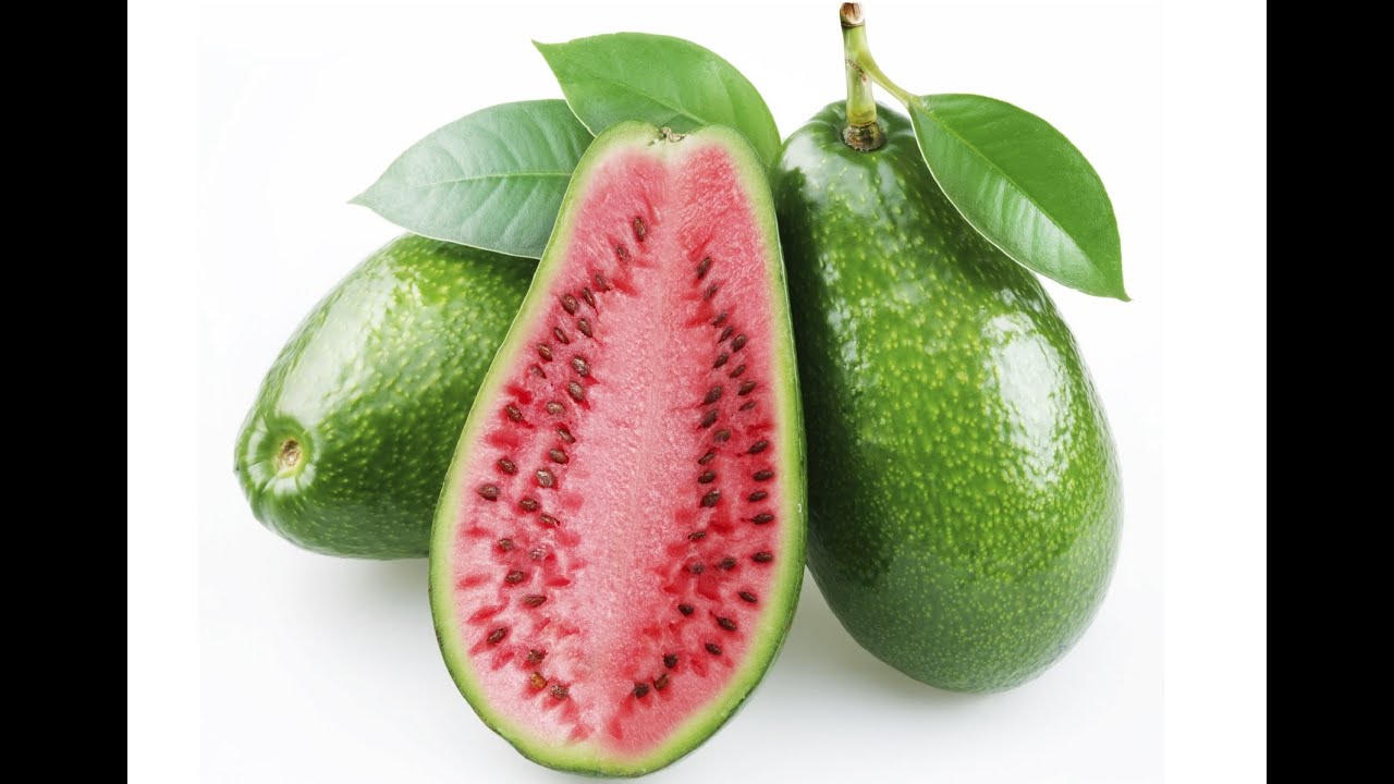 Genetic Engineering