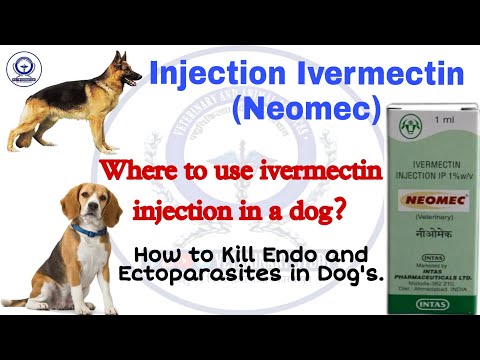 Ivermectin Injection - Ivermectin Injection BP Latest Price ...