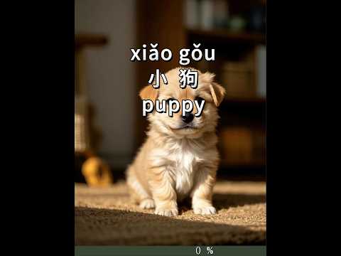 10 seconds Chinese words - puppy 小狗 #languagelearning #Chinesewords #中文 #chineselearning #words