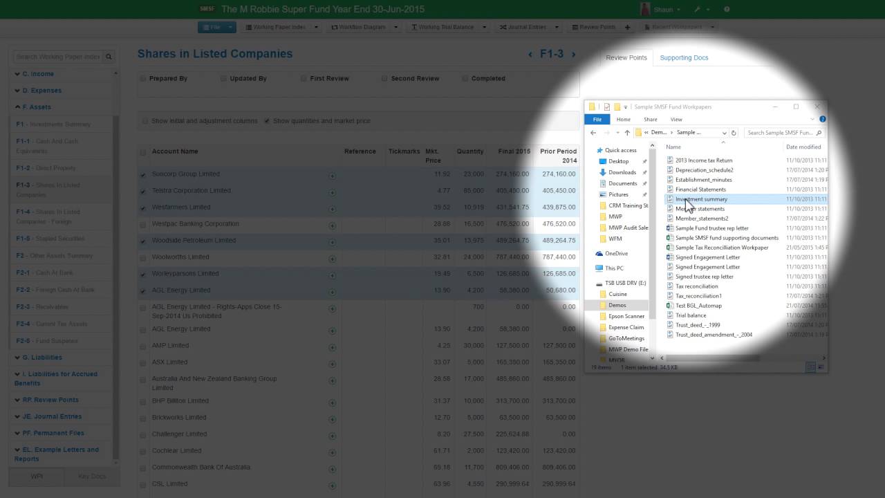 MyWorkpapers - Audit