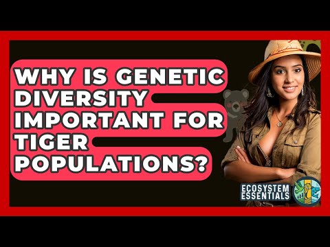 Why Is Genetic Diversity Important For Tiger Populations? - Ecosystem Essentials