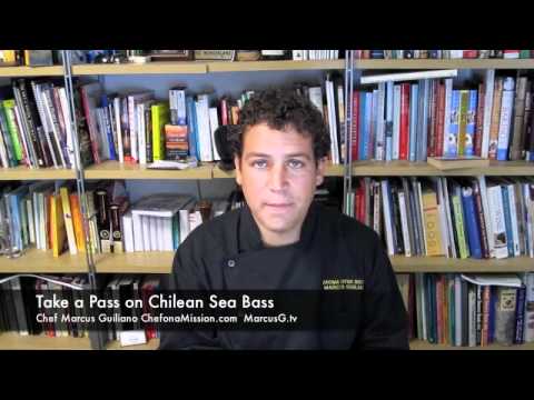 Avoid Chilean Sea Bass | Take a Pass on Chilean Sea Bass | Sustainable Seafood