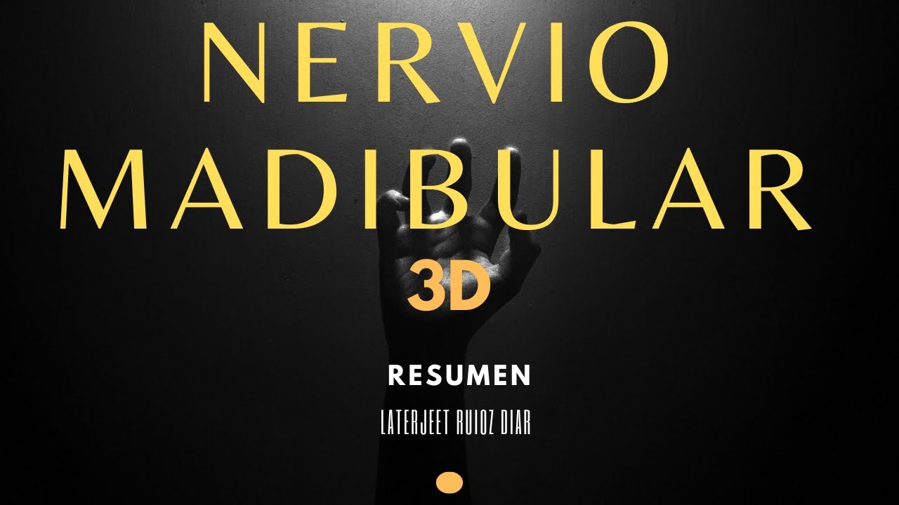 Nervio Mandibular Fácil 3D