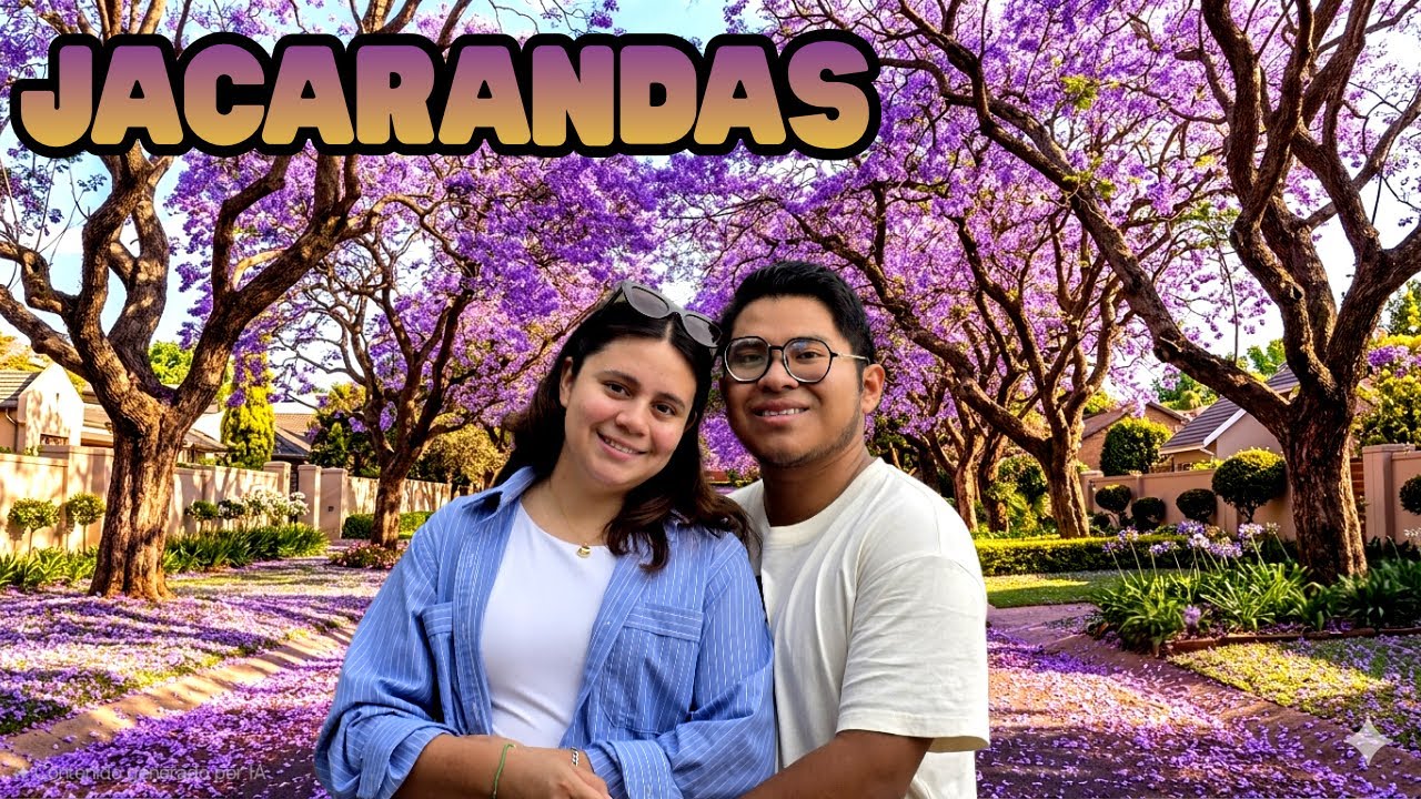 This is what Mexico City looks like full of JACARANDAS 💜 (FREE plan in Chapultepec) 🌳