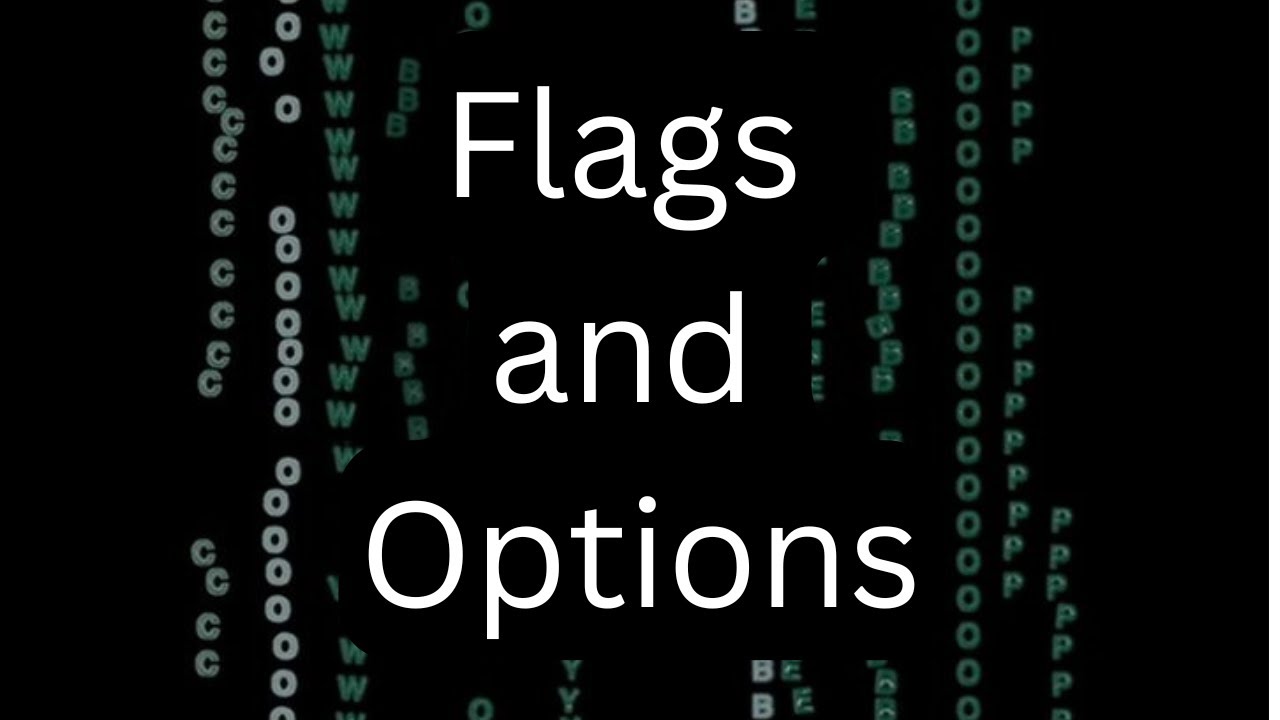 Linux Flags & Options Explained | Beginner's Guide with Real Examples