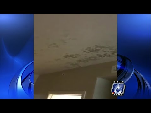 TAMUCC student concerned about potential health hazards