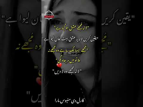 karal The Manhoos mara | Yaram Urdu novel #novels #yaram #karl #heartouchingvideo #emotionalstory