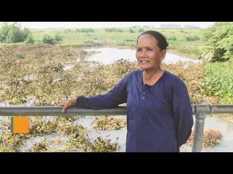FROM PESTS TO SOURCE OF UNLI GREEN ENERGY!