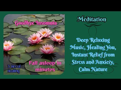 3 hrs Of A Healing & relaxation video for Sleep, Focus, Meditation & Anxiety |Ambient Sounds