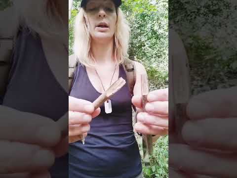RAMA ROTA? **video in spanish language**