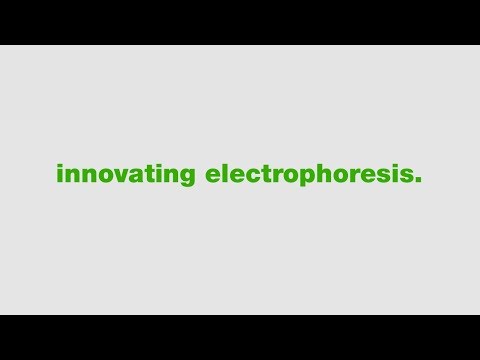Bio-Rad's Precast Gels for Protein Electrophoresis: A History of Innovation