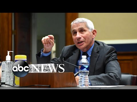 Dr. Fauci testifies about 'disturbing surge' of infections