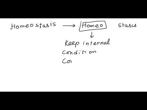 Homeo- comes from a Greek word that means "similar" or "same," while the suffix -stasis comes from …