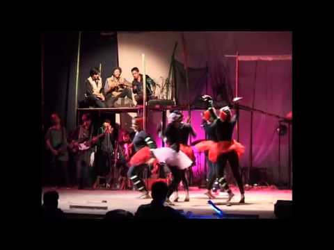MIT Pune Winning Dance Firodiya Karandak'13(The Pink Headed Duck)