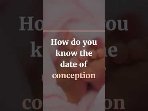 How do you know the date of conception || Find pregnancy date || conceive date || shorts