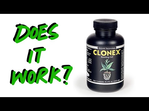 Clonex Review - Rooting hormone test