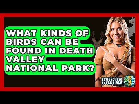 What Kinds Of Birds Can Be Found In Death Valley National Park? - Ecosystem Essentials