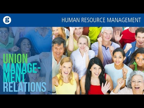 Union Management Relations