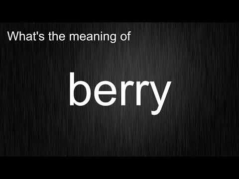 What's the meaning of "berry", How to pronounce berry?