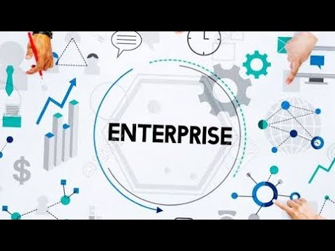 What is an Enterprise? Understanding Its Definition and Scope