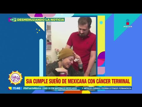 Sia solicita el divorcio de Dan Bernad tras dos años de matrimonio y ...