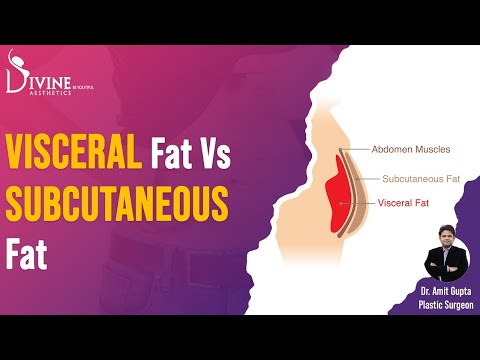 Visceral Fat vs Subcutaneous Fat | Types of Body Fat