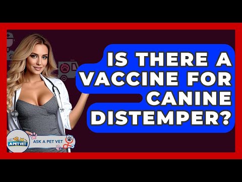 Is There A Vaccine For Canine Distemper? - Ask A Pet Vet