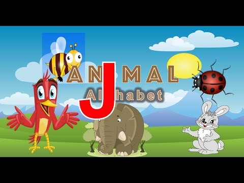 J Animal Alphabet | Learning animals name start with a letter J, A to Z pre-k education, toddlers