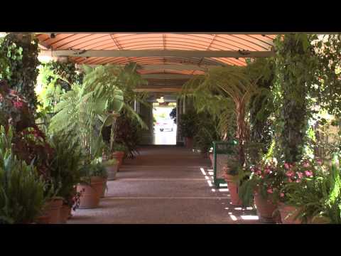 Carmel Mission Inn|Carmel Ca Hotels|Carmel by the Sea|Carmel Valley