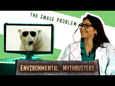 Environmental Mythbusters: The Image Problem
