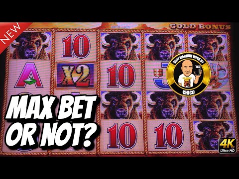 MAX BET vs NOT - What Do You Like To Bet On Buffalo Gold Slot Machines