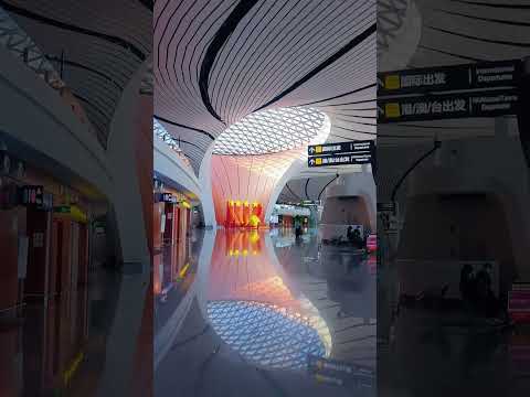 Beijing Daxing International Airport was designed by the Iraqi-British architect Zaha Hadid.