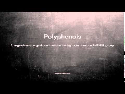 Medical vocabulary: What does Polyphenols mean