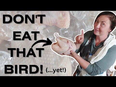 THIS is WHY your fresh meat is tough! (Watch this BEFORE eating your chicken!)