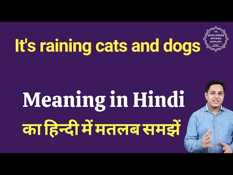 It's raining cats and dogs meaning in Hindi | It's raining cats and dogs ka matlab kya hota hai