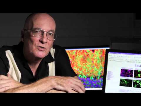 EnCor Biotechnology's Gerry Shaw: Faces of Technology