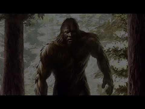 Wildmen