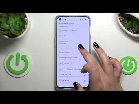 How to Enable Developer Options in OnePlus Nord 2T – Advanced Mode