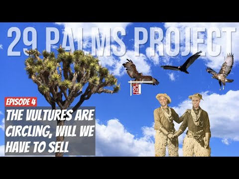 29 Palms Project Ep4: Watch This Before Buying and Renovating in Joshua Tree / Twentynine Palms