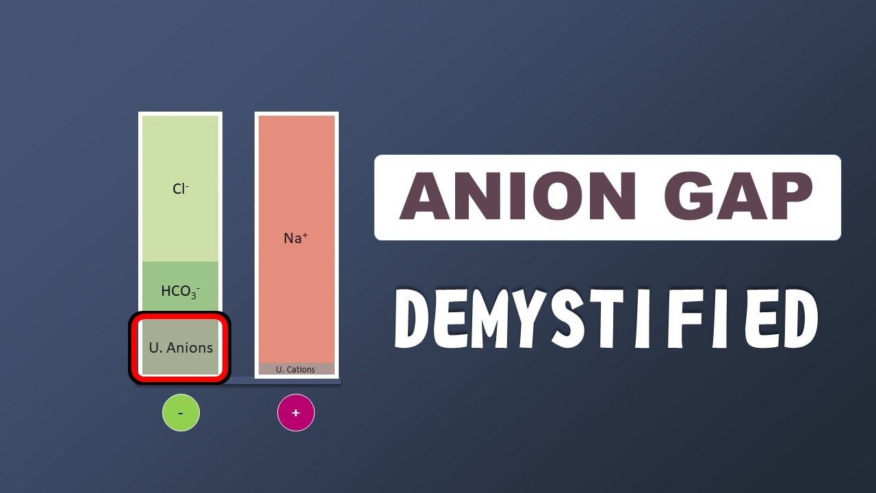 Demystifying ANION GAP with Animations