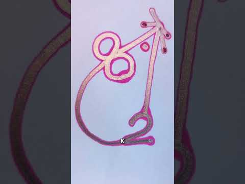How to Draw a Mouse with numbers only? π€