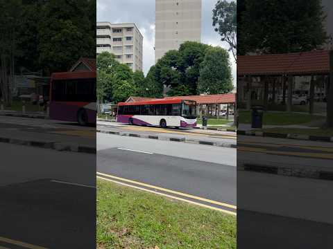 [Cameo] SBS8982P on Service 65 - SBST Scania K230UB Euro V  #SBS8982P
