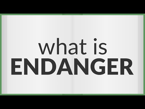 Endanger | meaning of Endanger