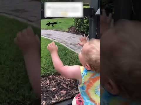 Cute baby get lizard on hand #shorts #shortsfeed #share #funny #shortvideo
