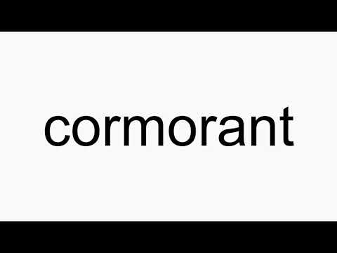 How to pronounce cormorant